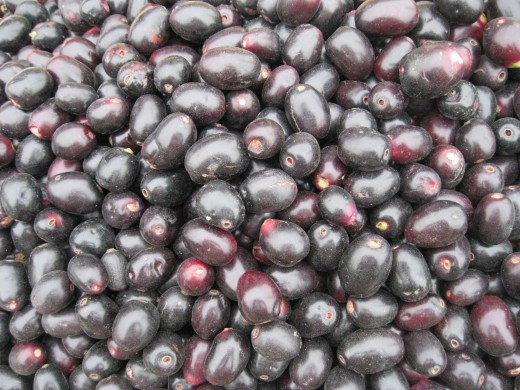 We love Our Bangladesh: Jambul(Jaam/Jam/Kalojaam) is one of the ...