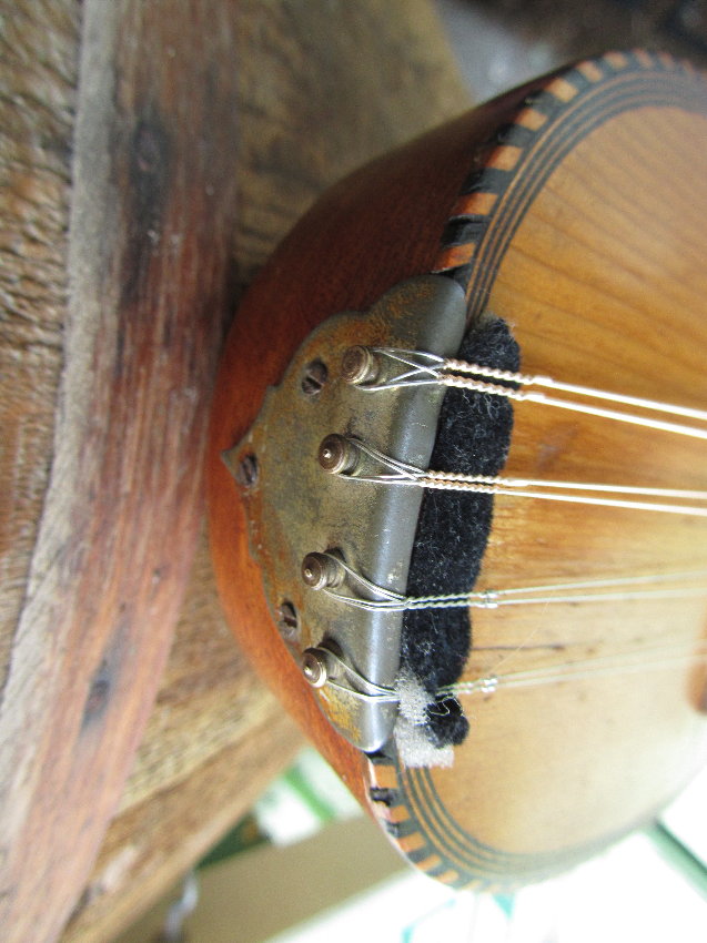 c.1915 Giuseppe Quaglia Pocket Mandolin