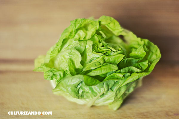 HoyVerde.com: 10 Beneficios de la lechuga