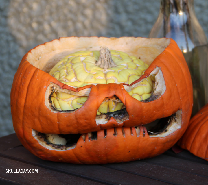 [BONUS] Pumpkin Anatomy II: Update 4