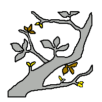 Kuncup (Gemma) ~ MUNAWI INSIDE