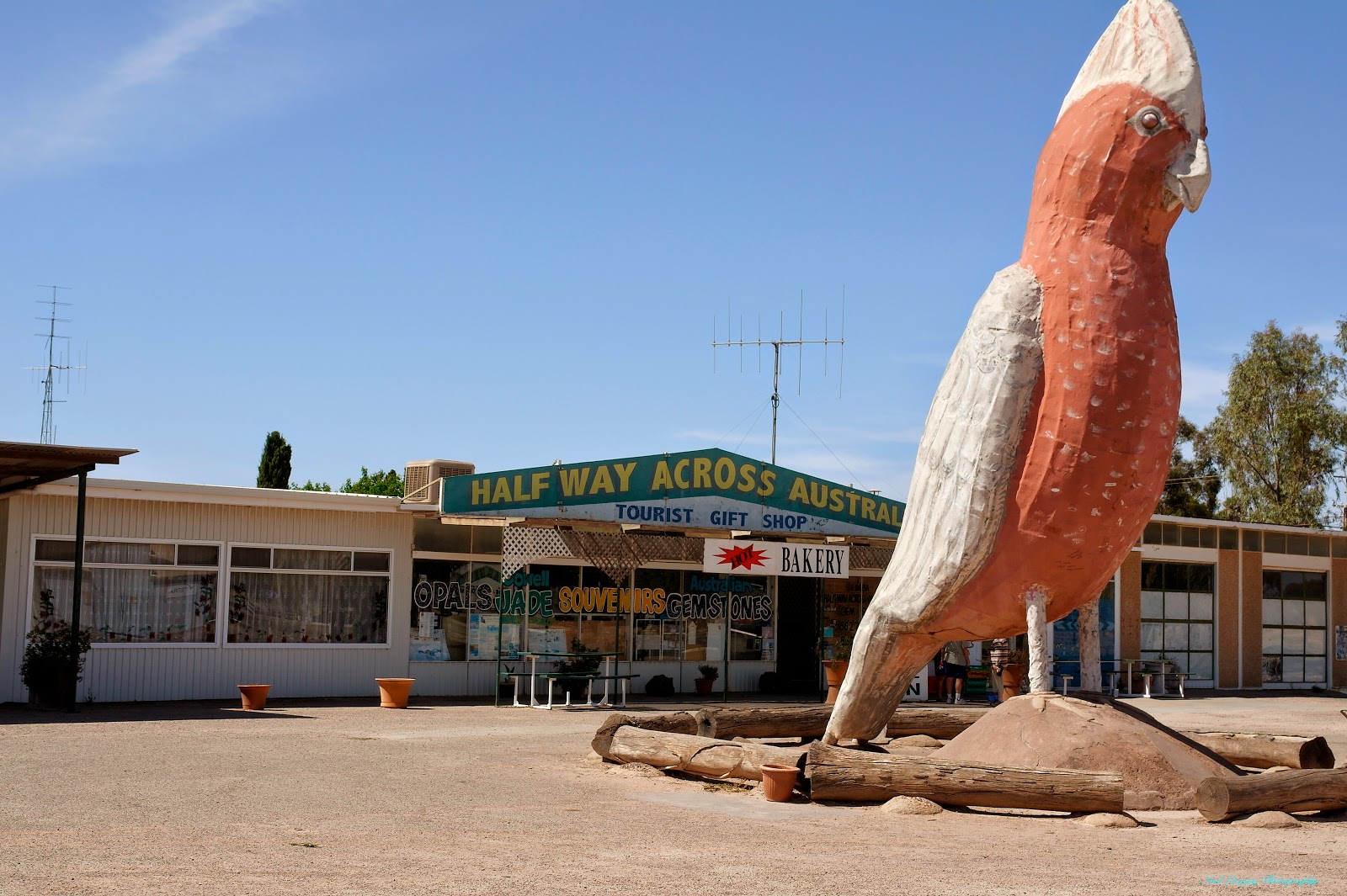Can Go Around Australia: Kimba, SA.
