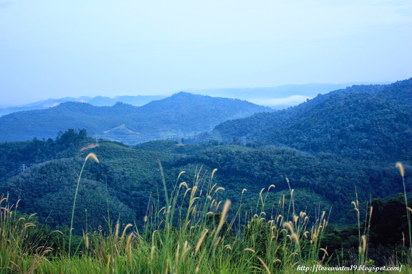 My Palace, My symphony of life and the rhythm in My heart: Discover ...