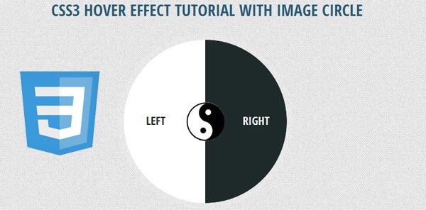 Efecto hover con CSS en imágenes circulares ~ WorldjamBlog