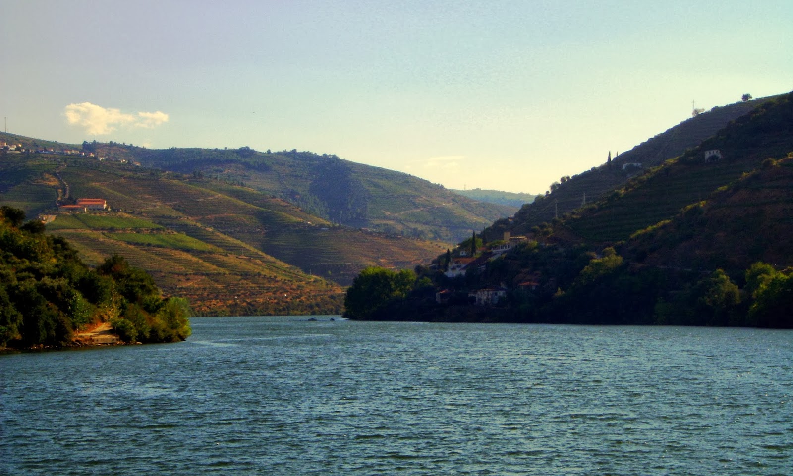 "Sua Maldade"...: Recordando o Douro ...