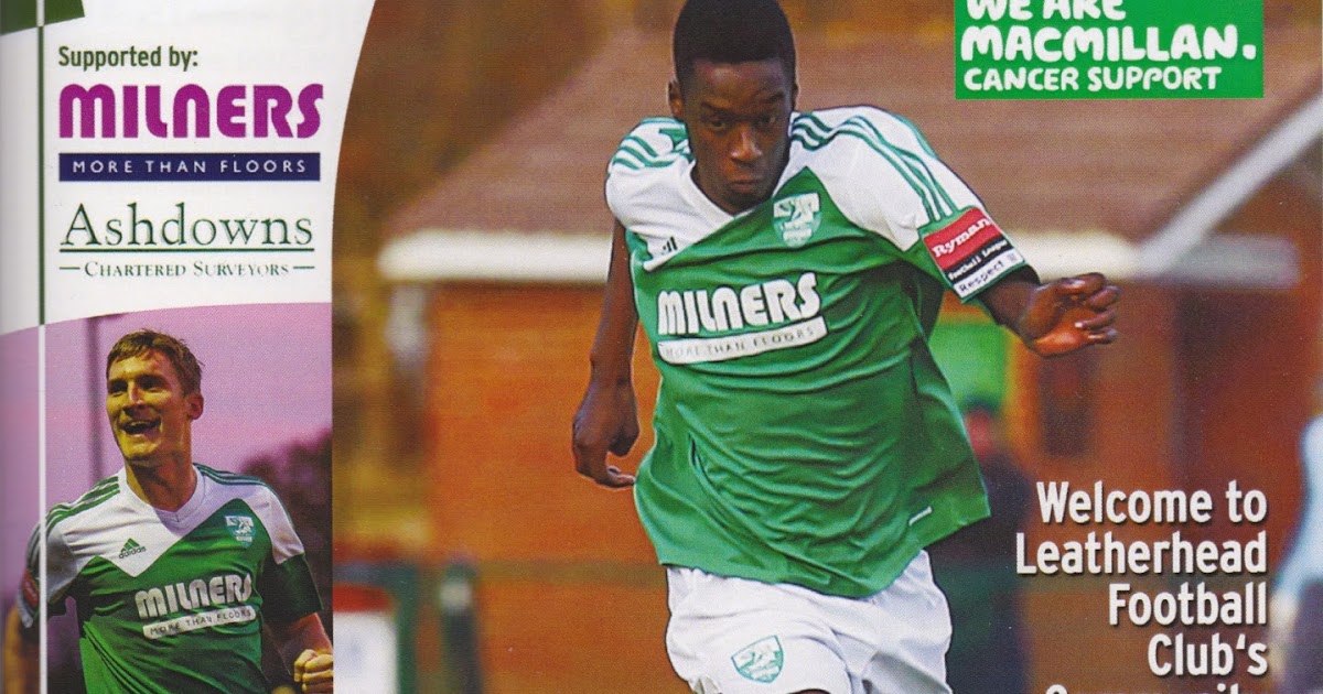 The Wycombe Wanderer: Leatherhead - Fetcham Grove