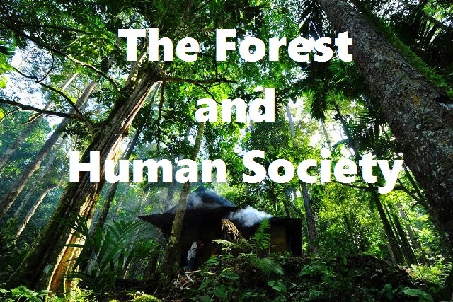 Thoughts to Promote Positive Action...: The Forest and Human Society