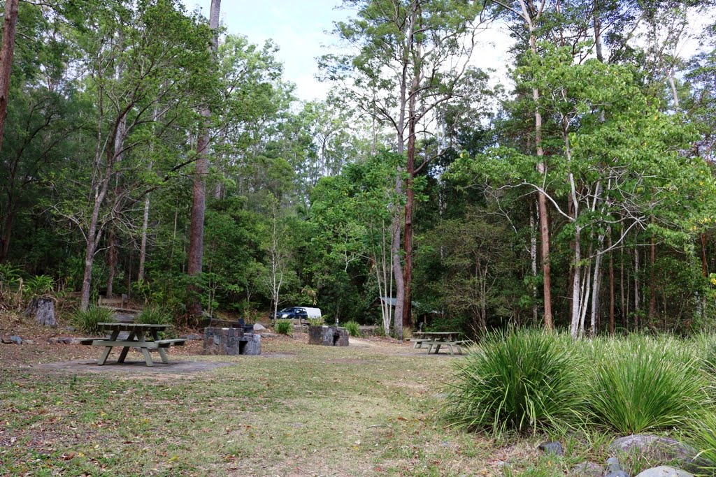 National Park Odyssey: Bellthorpe National Park, QLD.
