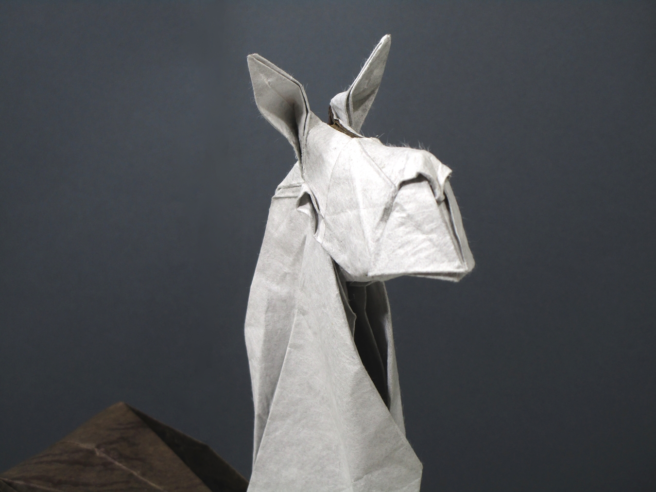 Mariano-Mi mundo el Origami: Lama - Llama