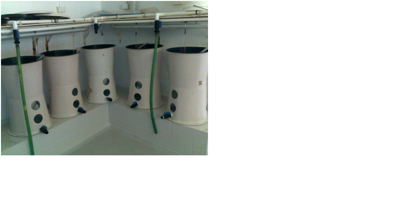 marine hatchery: LARVAL REARING 2. Artemia Production