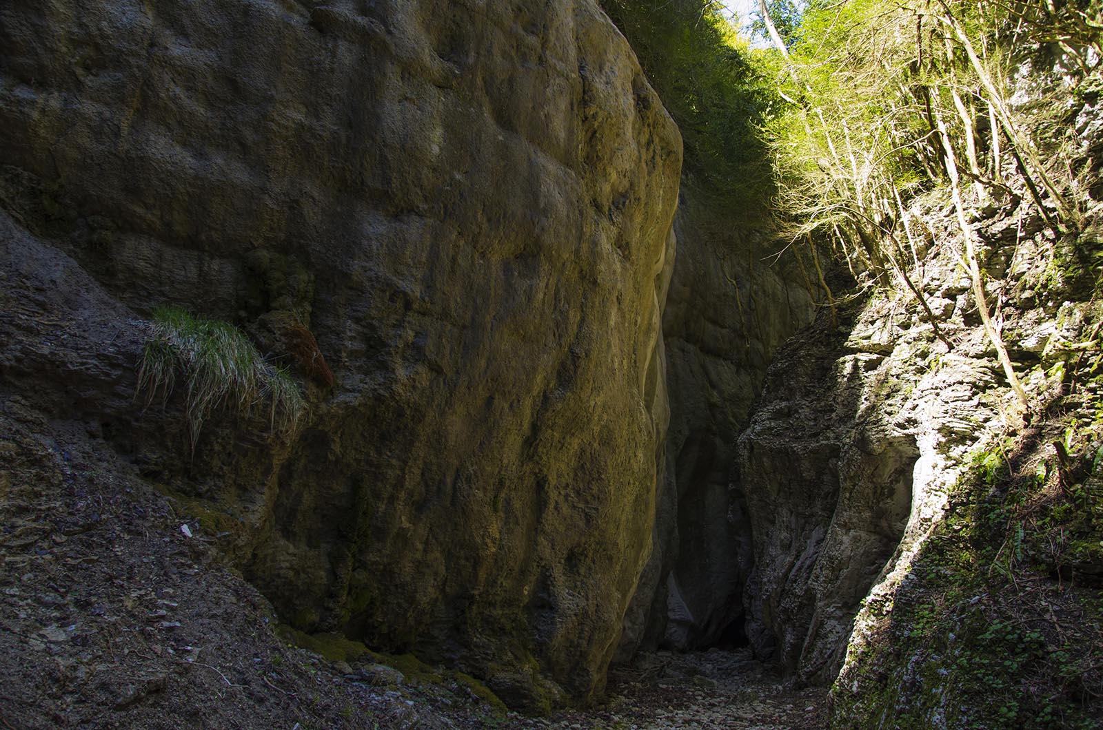 DROMESCAPE - Randonnées en Drôme et Escapades photographiques: Le ...