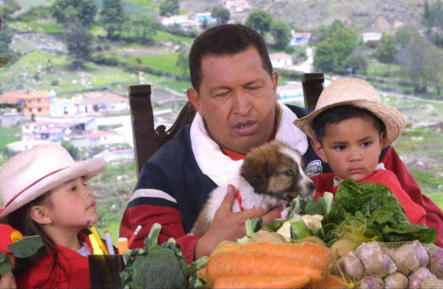 Megainfocentro Mérida: El Mucuchíes celebra 53 años como perro nacional