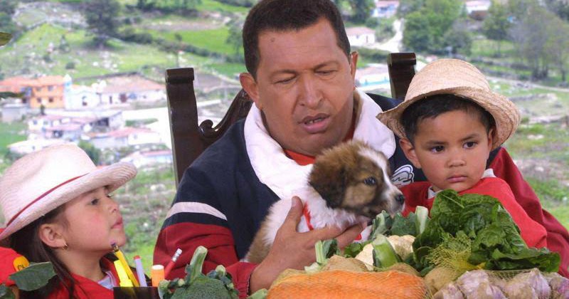 Megainfocentro Mérida: El Mucuchíes celebra 53 años como perro nacional