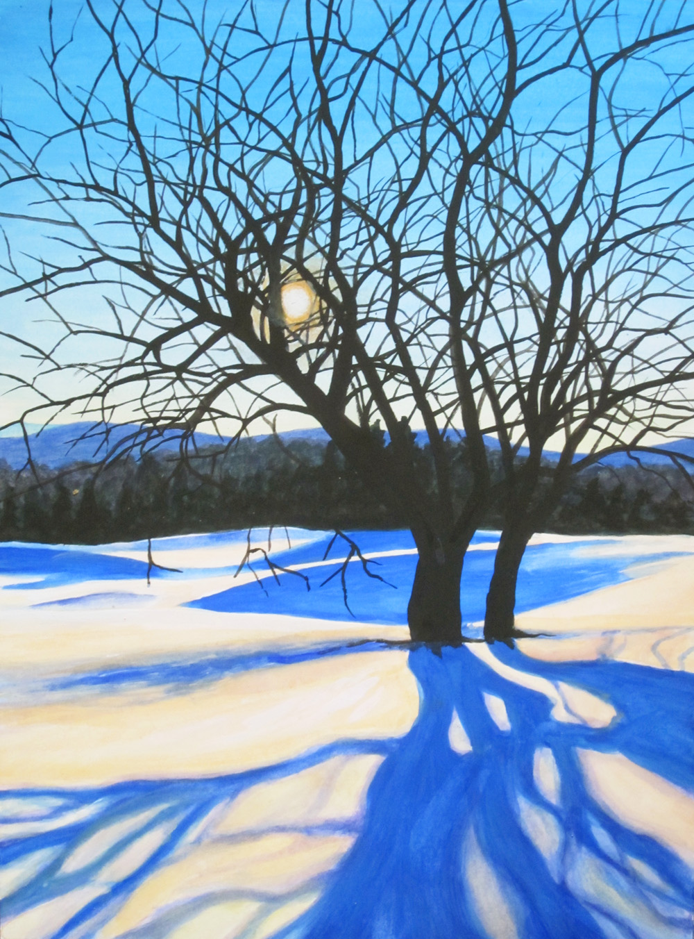 Hannah's ARTventure: Snowy Shadows