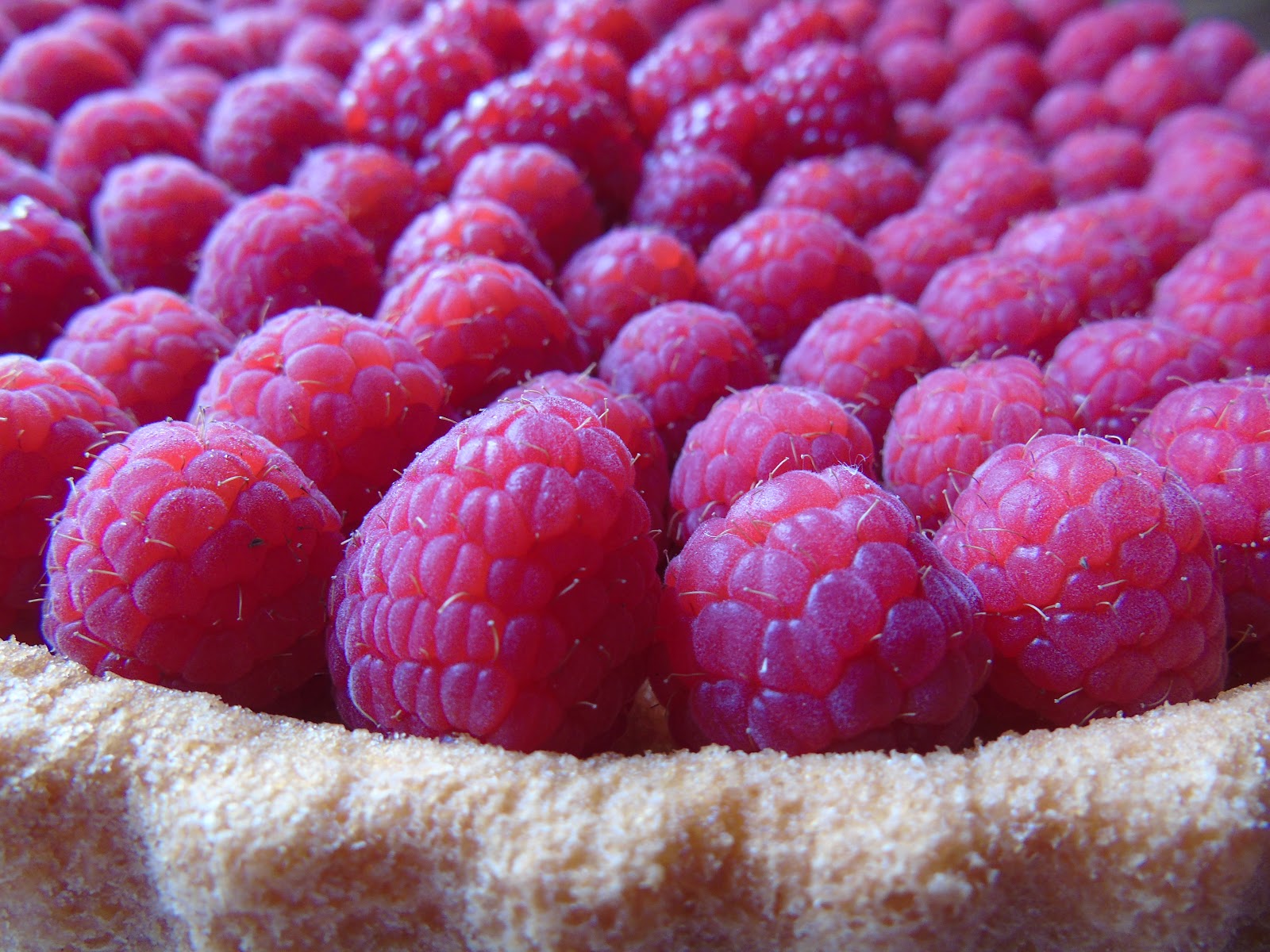 Summer Raspberry Flan