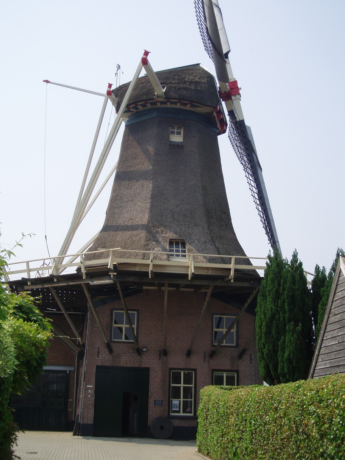 ¿Qué hago yo aquí...en Holanda?: VA DE MOLINOS