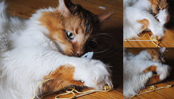 DIY Felt Mouse for Kitty | Polka Dots are Love