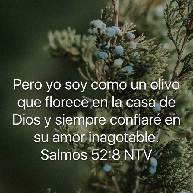 ANTOFAGASTA RELIGIOSA: LA BIBLIA: SALMOS 52