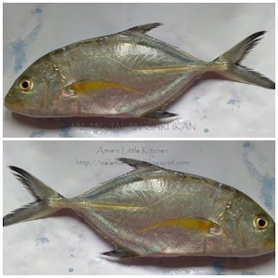 Kenali Pelbagai Jenis Ikan di Pantai Timur Sabah - Amie's Little Kitchen