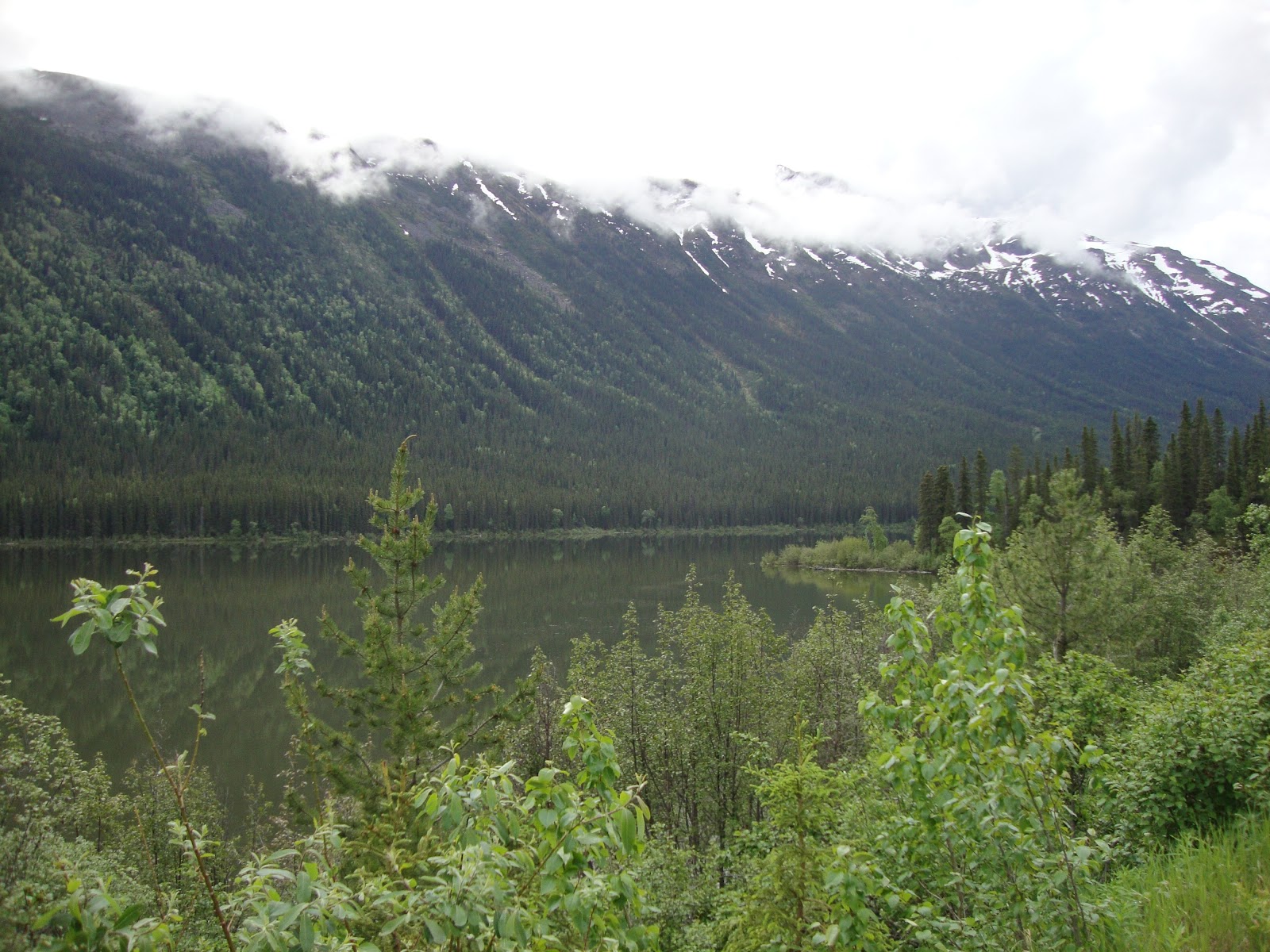 A Tangled Webb: Dease Lake BC to Watson Lake Yukon