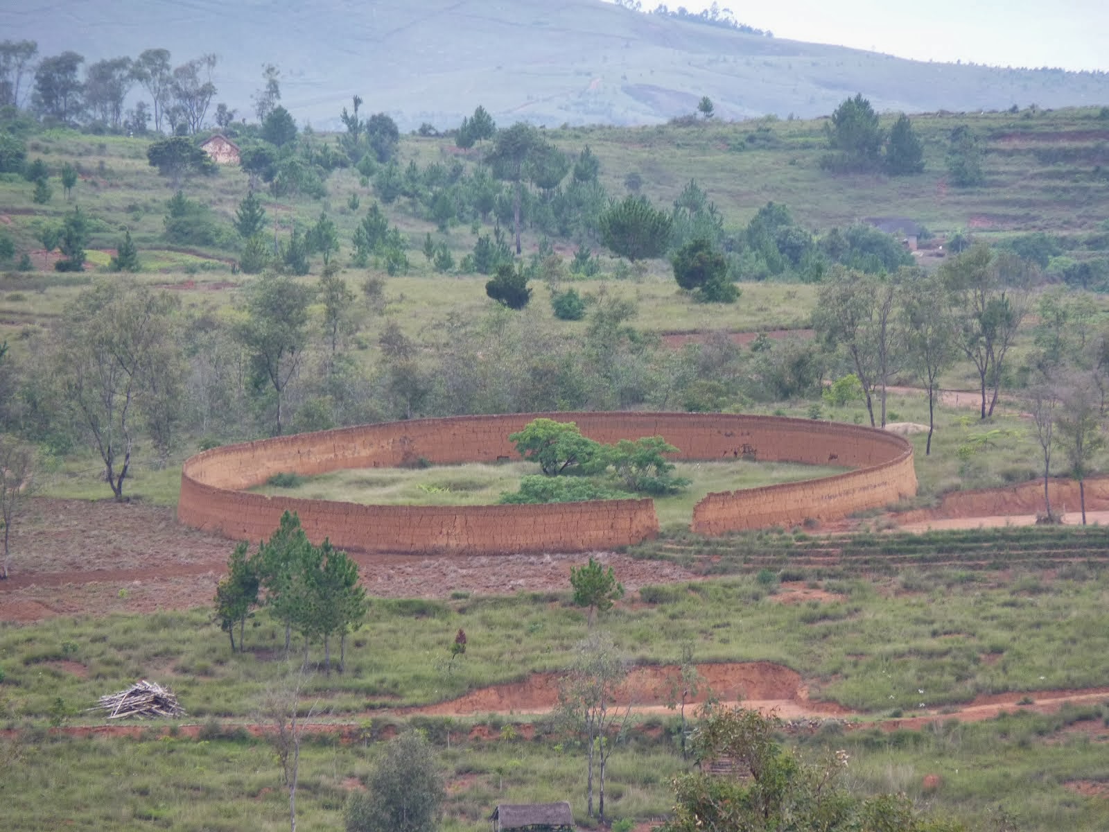 NY ZANADRALAMBO: TANTARAN' I MADAGASIKARA: NY ZANADRALAMBO: