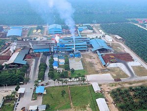 PT Perkebunan Nusantara III (Persero) Holding - Recruitment D3, S1 ...