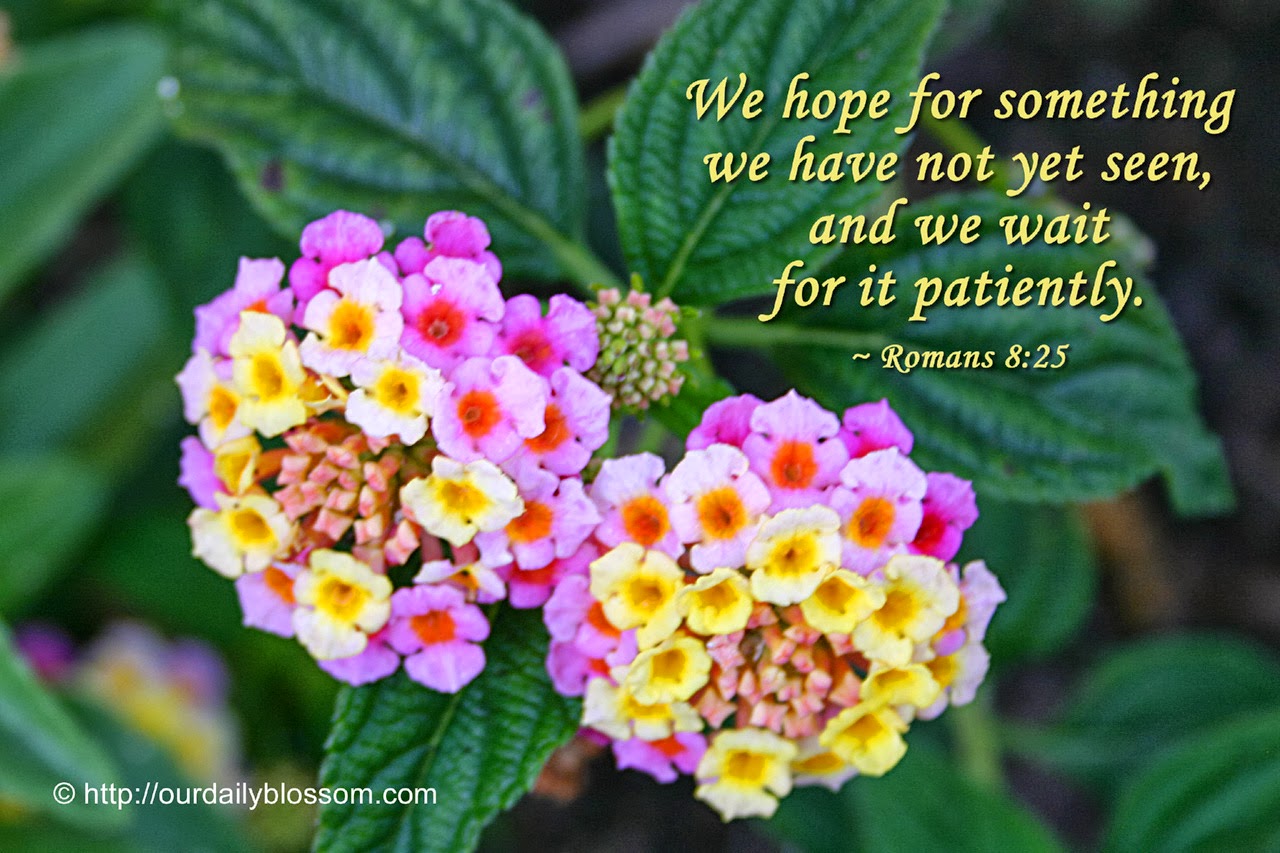 Holding On to the Promises and Expectations (HOPE): A Message from God