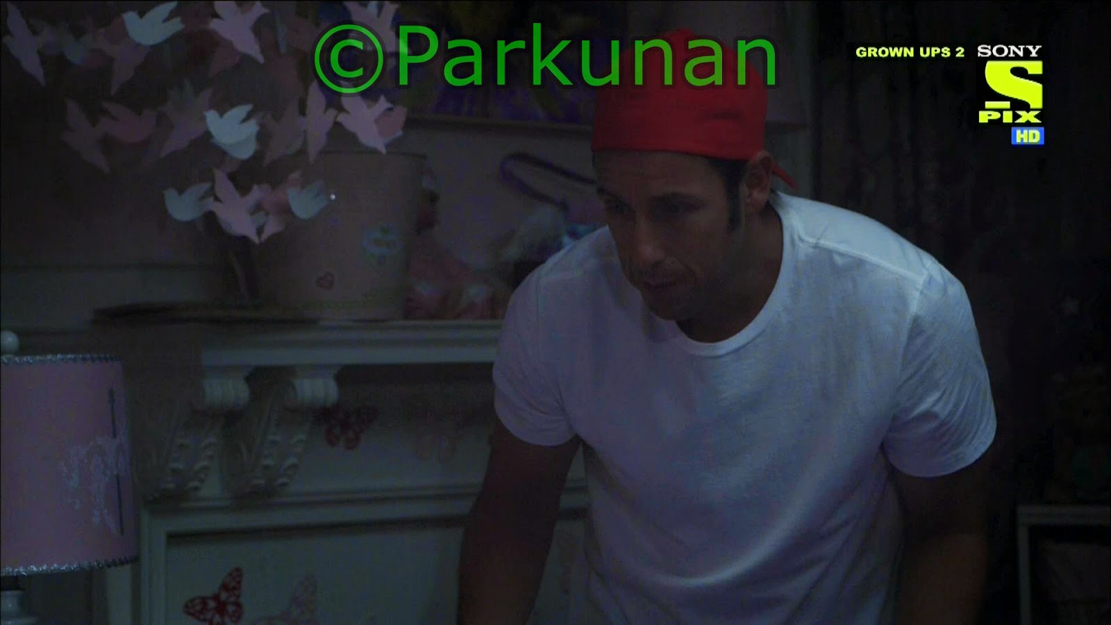 &Pictures HD and Sony Pix HD testing(FTA) on Videocon d2h ST2 @ 88 E.