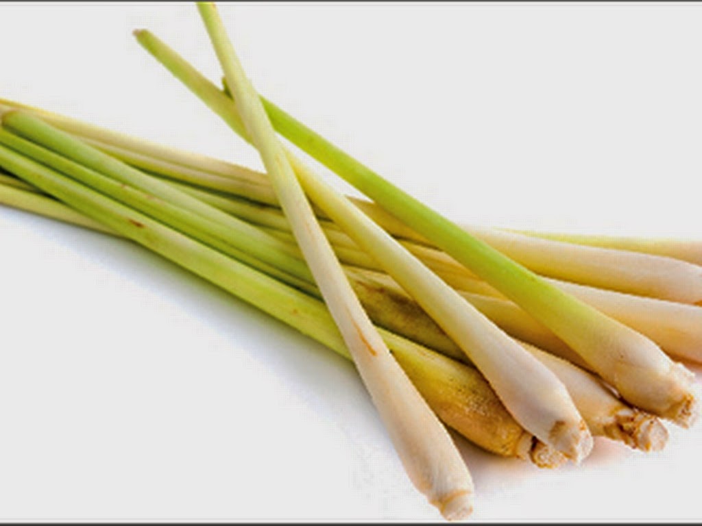 MANFAAT TUMBUHAN SERAI/SEREH ~ Manfaat Buah dan Tumbuhan