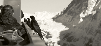 Steve Gilson Photography