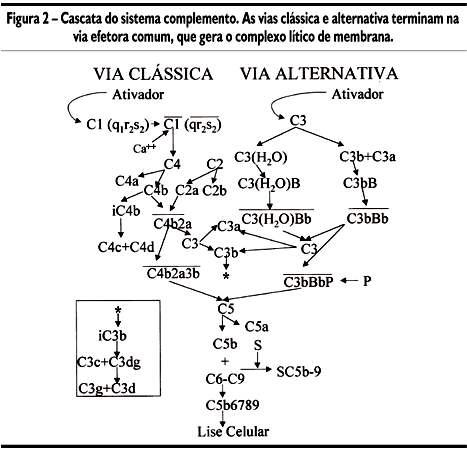 BIOMEDICINA-FARMÁCIA: SISTEMA COMPLEMENTO
