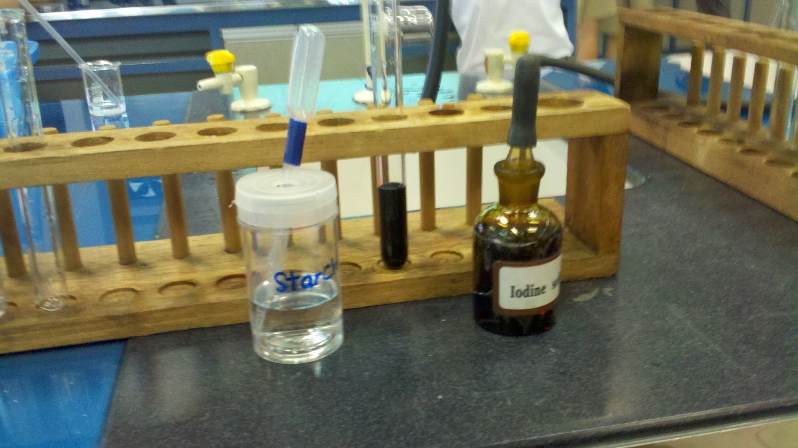Science for Dummies: 2nd Science Laboratory Lesson ==>Making Observations