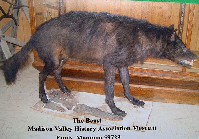 Kriptozoológia - Az állatvilág rejtélyes oldala: Shunka Warak'in ...