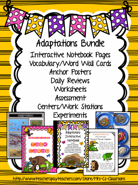 Mrs. C's Classroom: 50% OFF SALE: SCIENCE BUNDLES