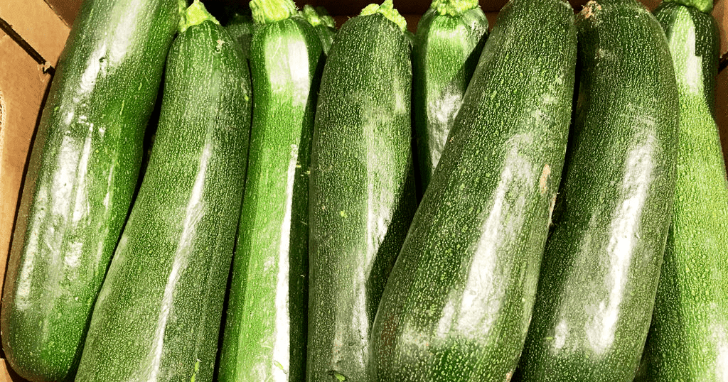 Apa Kandungan Gizi Dari Tanaman Zukini/Zucchini? - Manfaat Sayuran