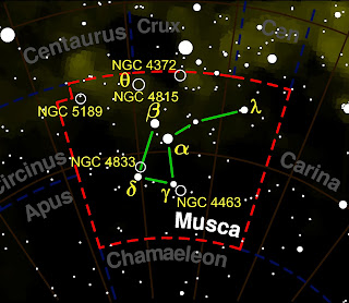Astronomia: Musca ( Mosca )