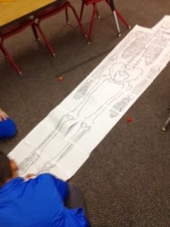 Miss Woodward's Class: All About the Human Body!