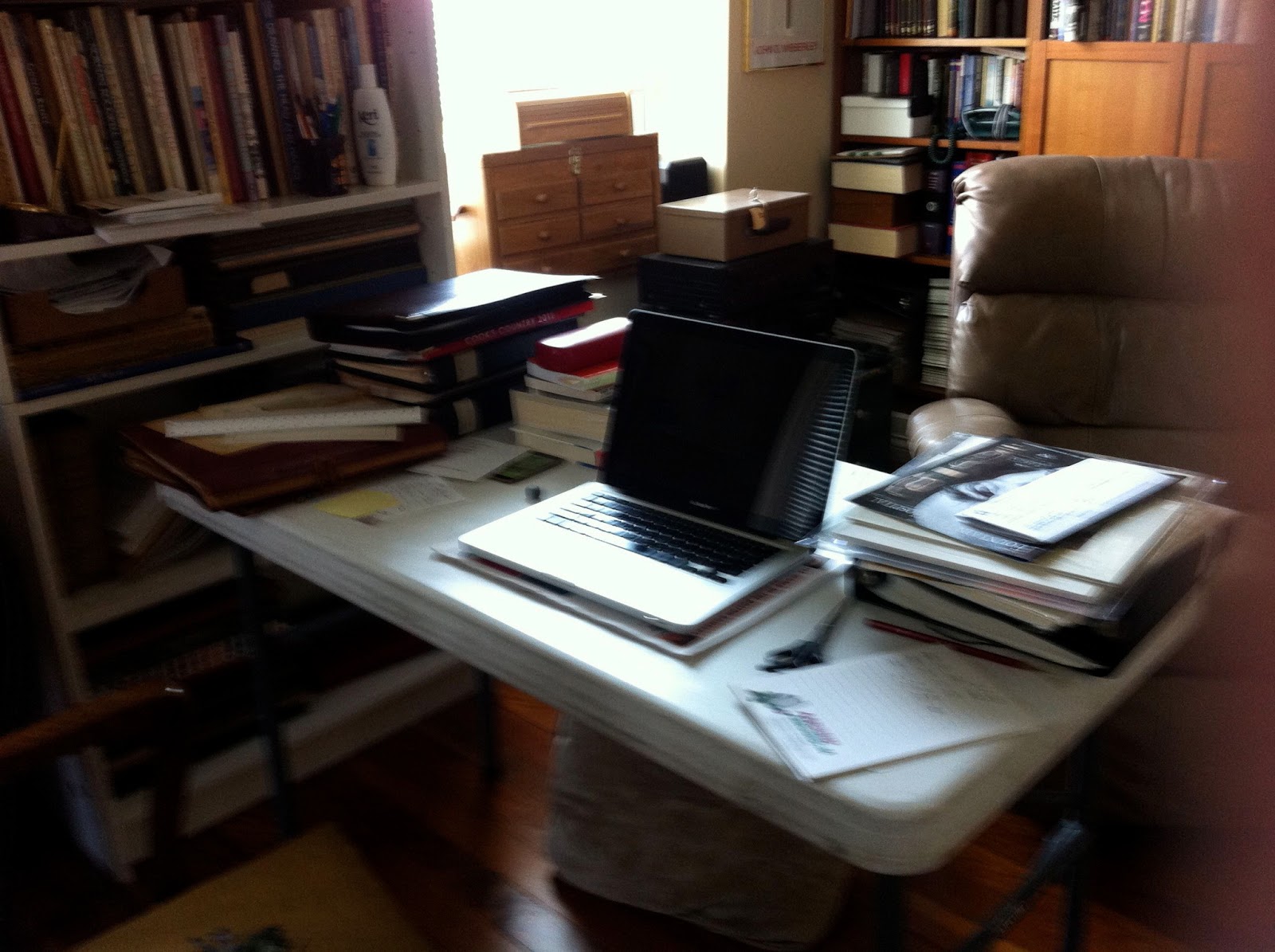 Reflections on a life in medicine, art, and Pasta: CLUTTER...or...I am ...