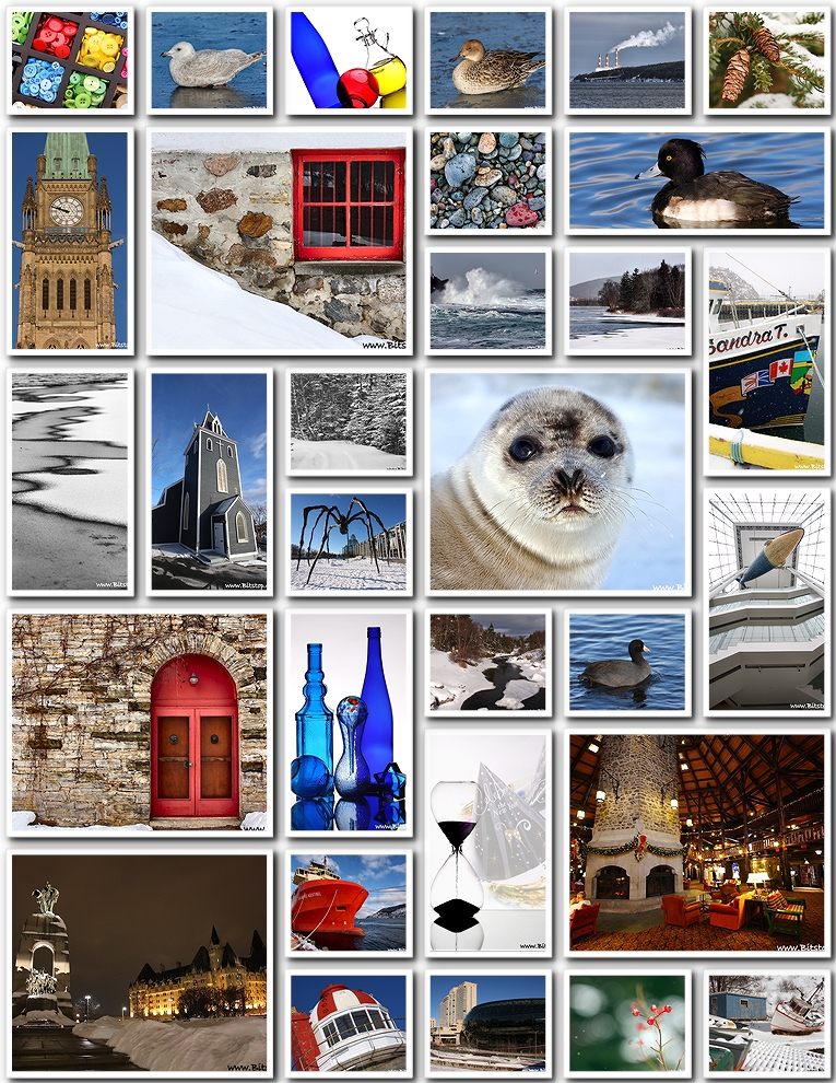 Bitstop: January Collage