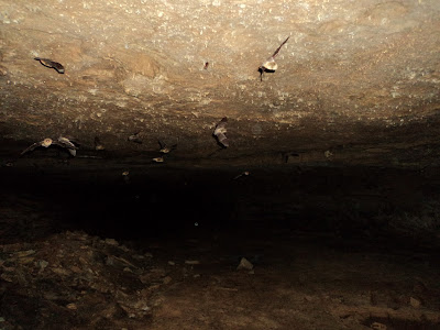 Aerial Geologist: Radium Springs Cave, Arkansas