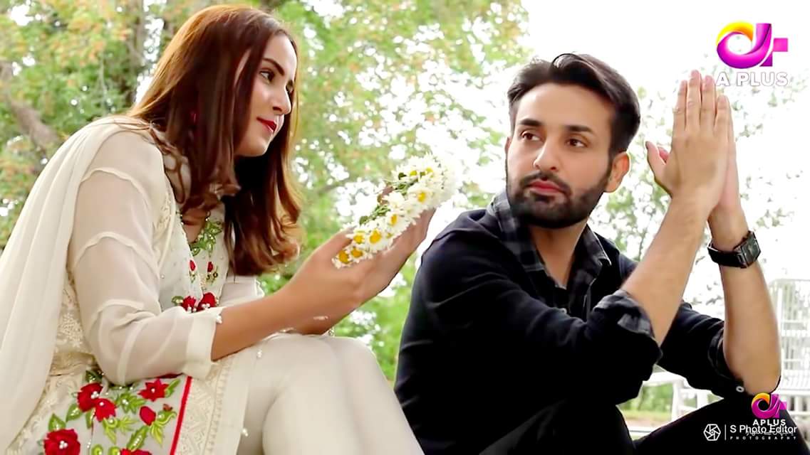 Affan Waheed Full Biography 2018 - Ww All Media News