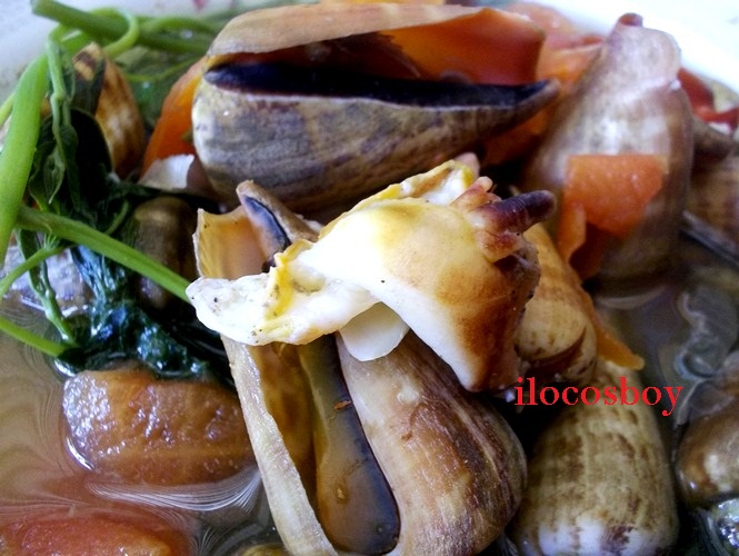 Ilocos: Exotic Sea Shell Food Called Marumpi