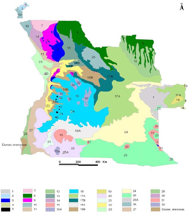 PEQUENA MONTRA DA NATUREZA: A DIVERSIDADE BIOLÓGICA ANGOLANA: FLORA DE ...