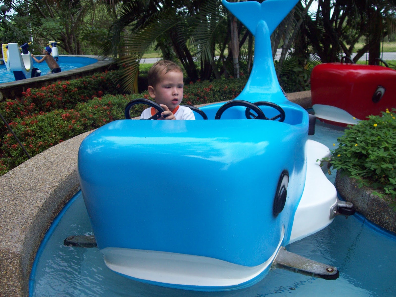 Parque Recreativo y Temático Piscilago ~ Turismo en el huila Agencia de ...