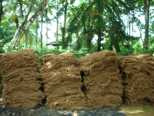 CoirGreen - www.coirgreen.com: Coir Pallets - An environmentally ...