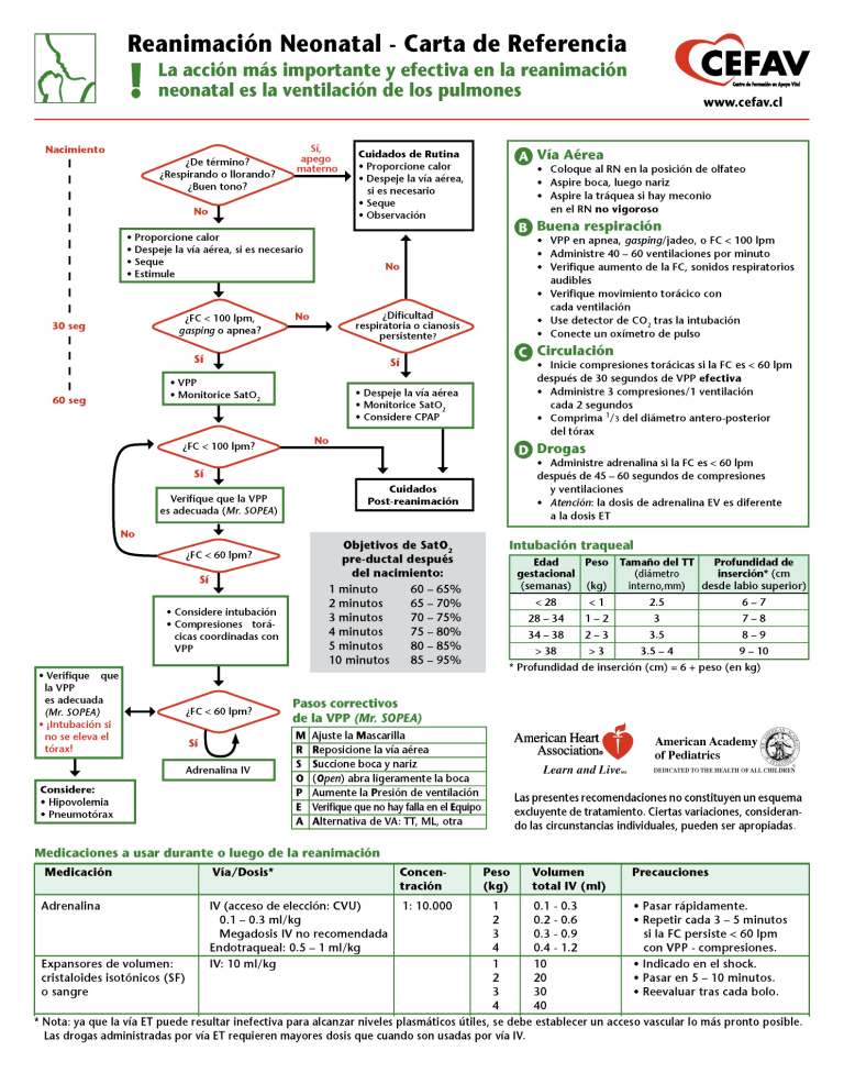Cuidados Pediátricos y Neonatales: RCP en prematuros
