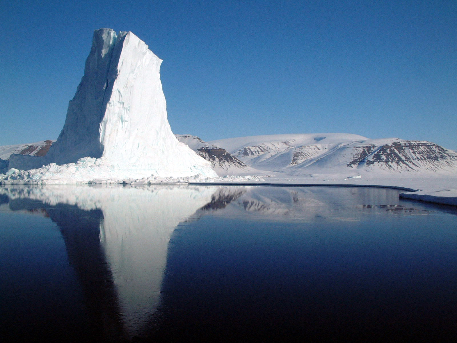 purpura: ICEBERG