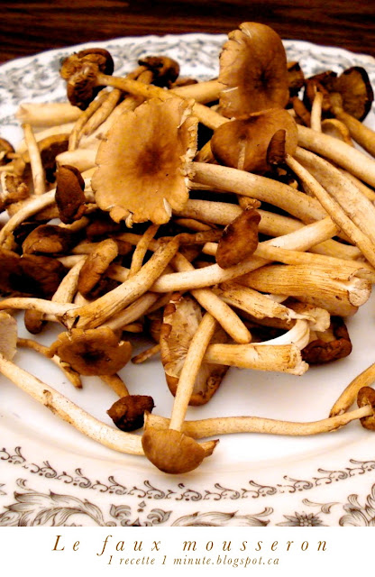 1 recette 1 minute: Un excellent champignon au goût de noisette