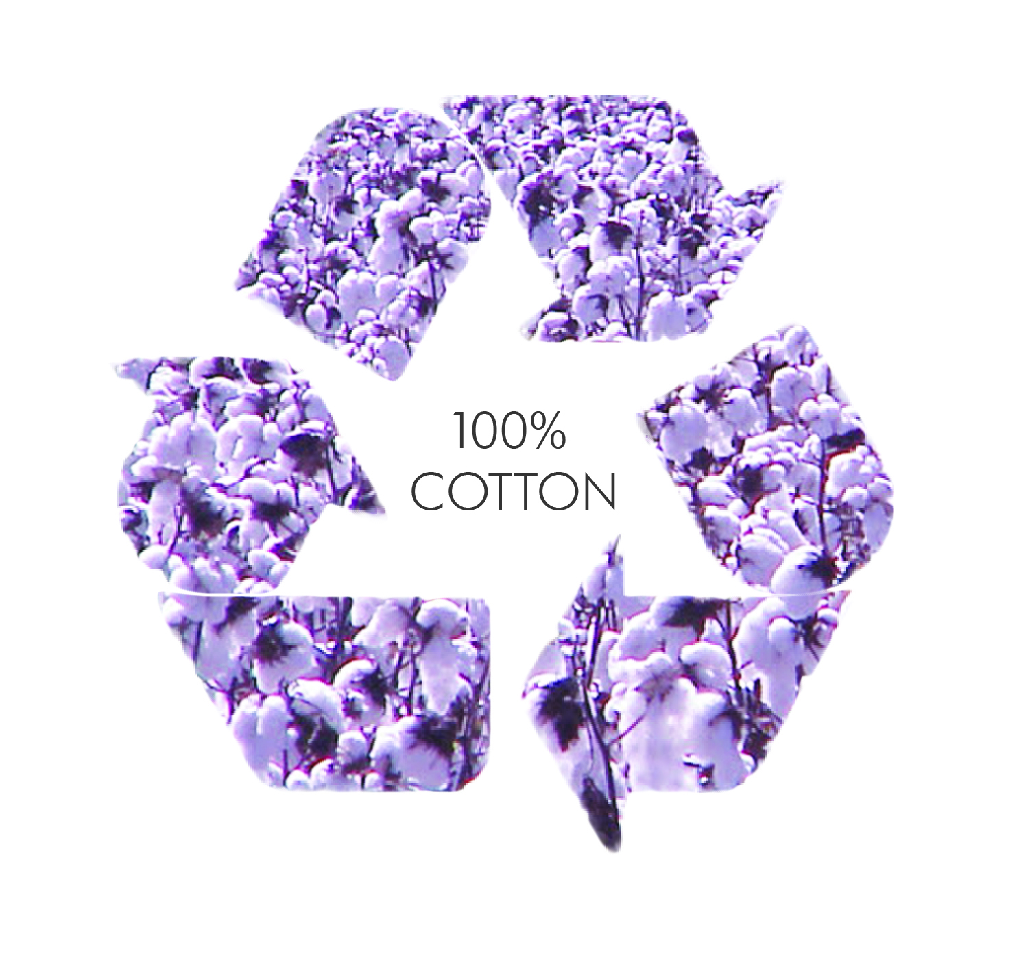 Amber LeRoux: Cotton Recycle Logo