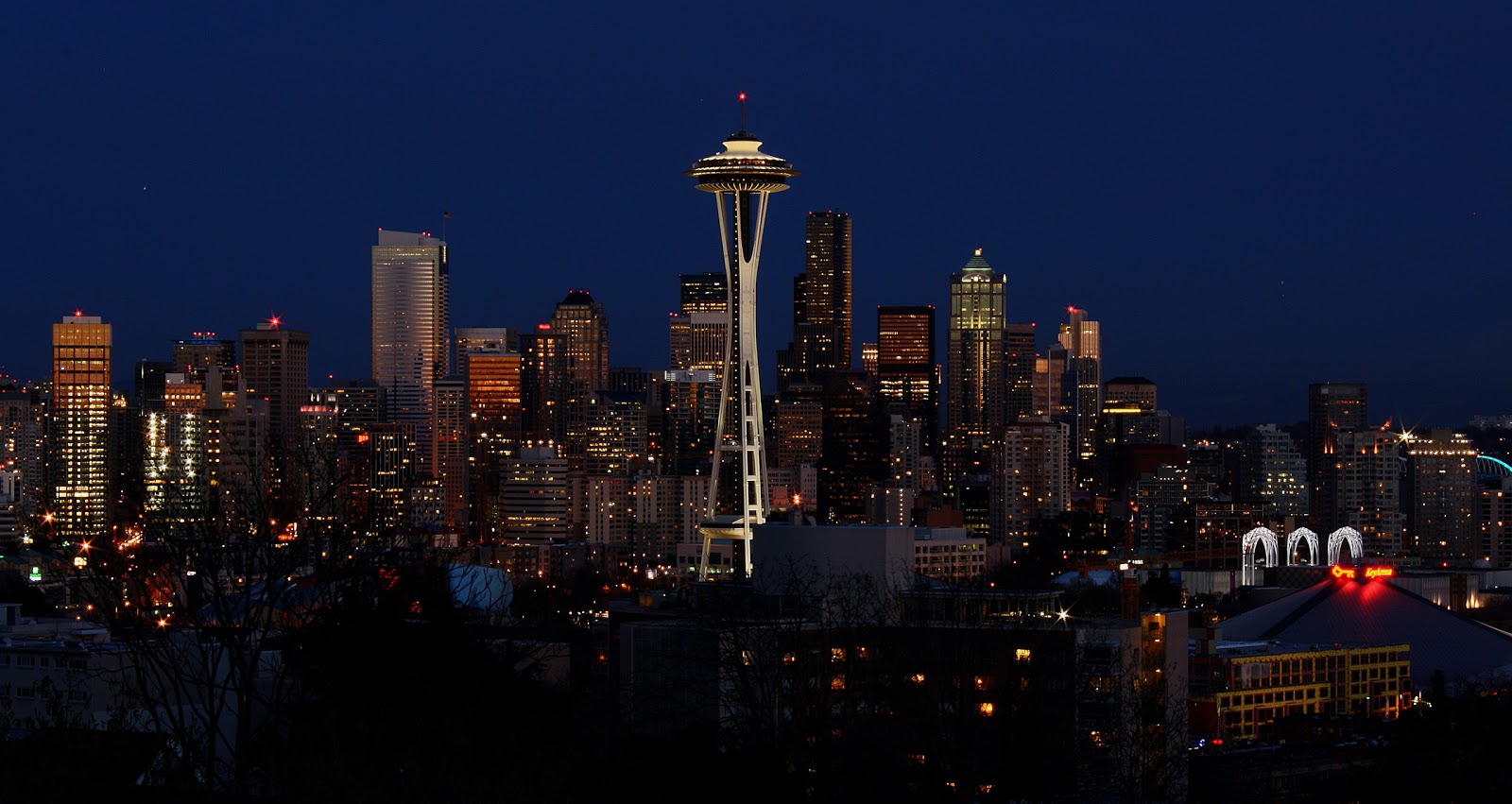Razor Sharp Insights: Seattle Skyline At Night